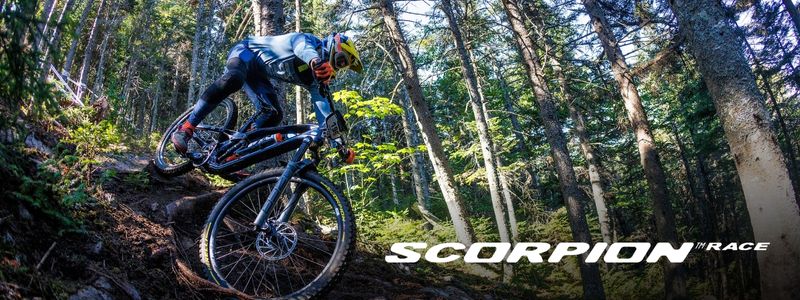 FEsports | Scorpion Race Enduro